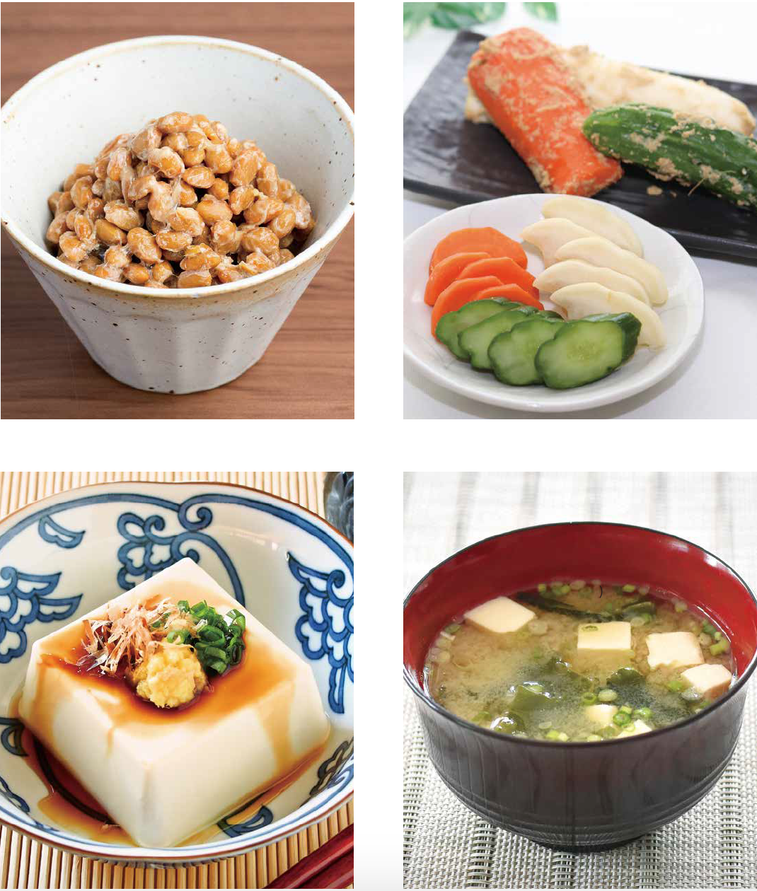 Delectable Japanese Fermented Food – NICHIGO PRESS