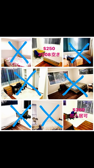 (女性限定) 好立地、Upper Mount Gravatt | 掲示板 – 住まい(accommo) | 日豪プレス - オーストラリアの生活情報サイト (NICHIGO PRESS)